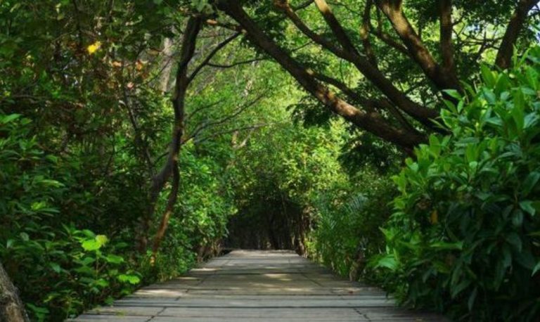 Hidden Gems Bandung: Menemukan Keindahan Tersembunyi di Kota Kembang ...